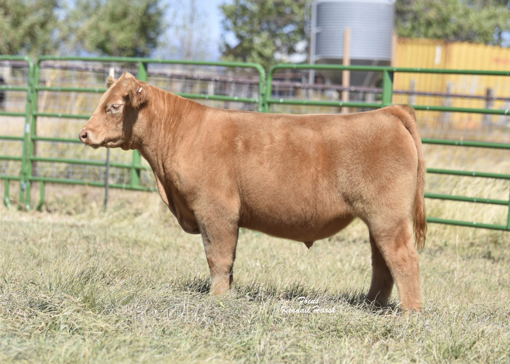 Tag 5 - Fassett Hay & Cattle
